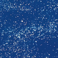 解凍格陵蘭 Melting Greenland